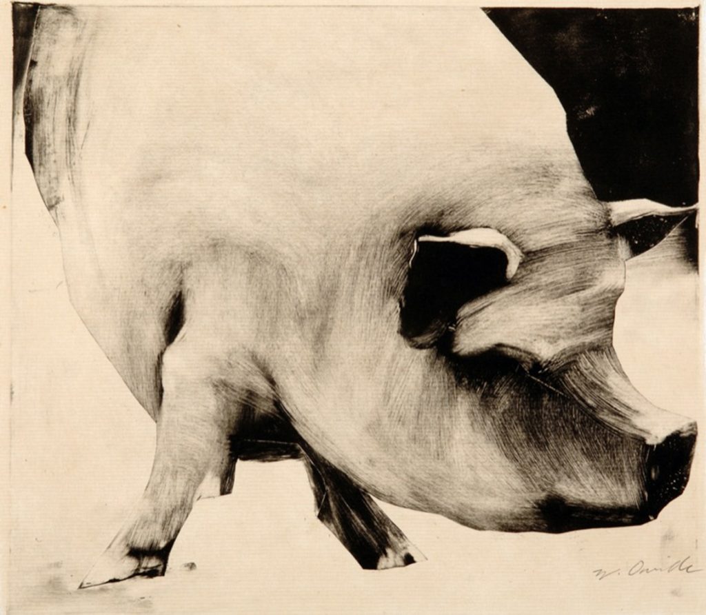 Animals - Wendy Orville